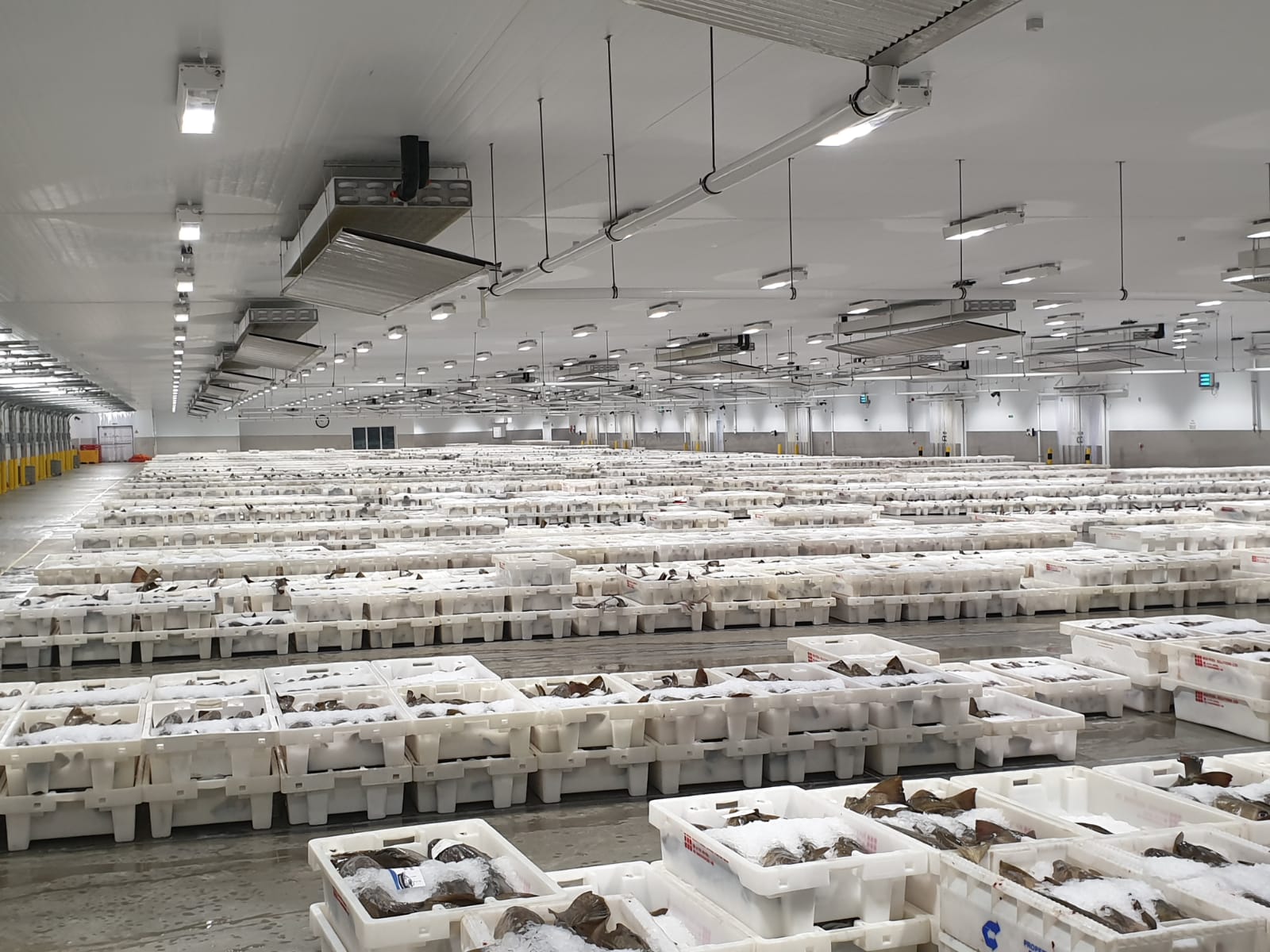 Phased capacity increase for fish market | Peterhead Port Authority